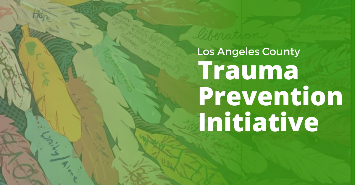 Trauma Prevention Initiative