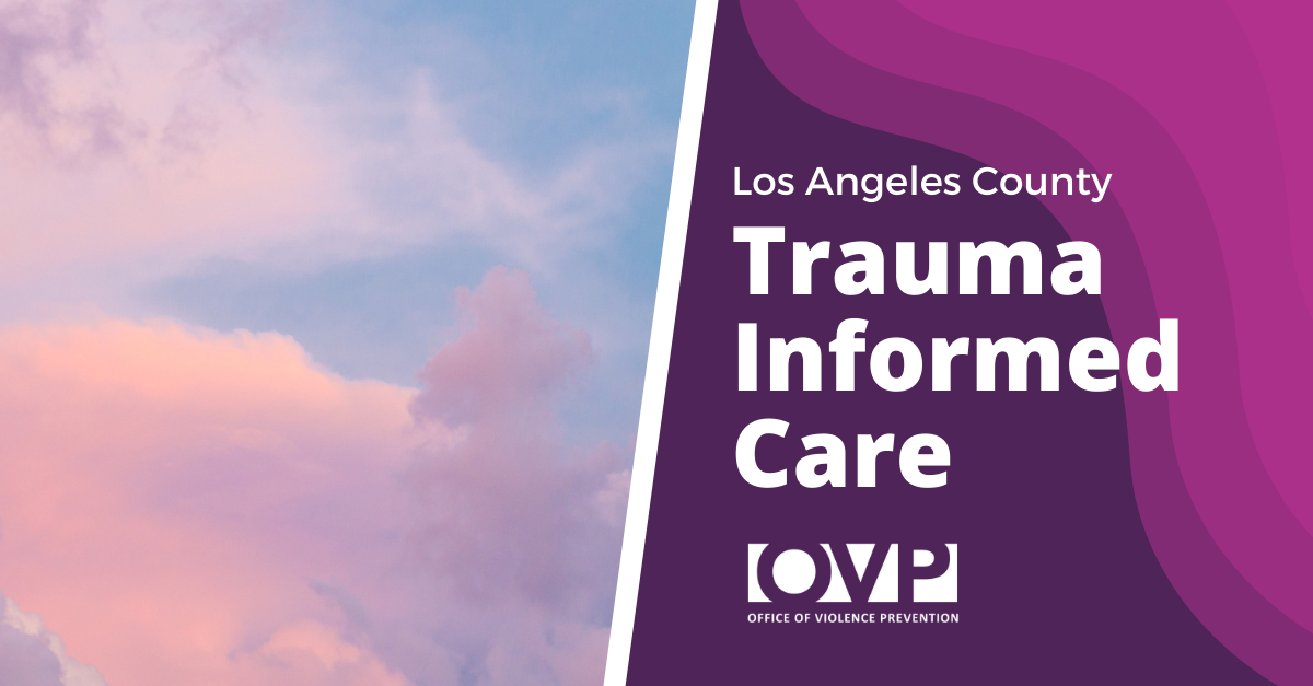 Trauma Informed Care